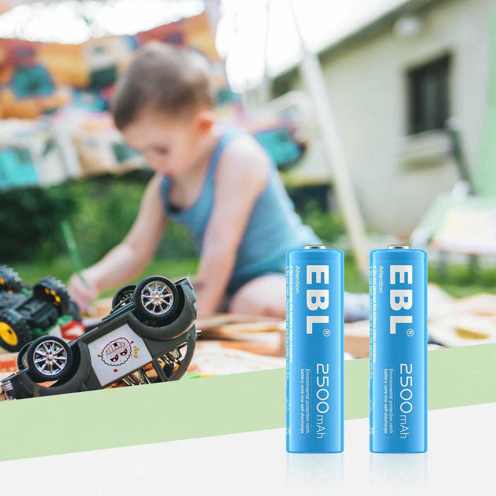 EBL Rainbow AA Batteries 2500mAh - NiMH AA Battery 1.2V